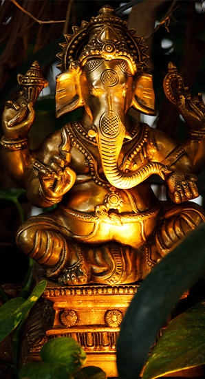 12 years of experience